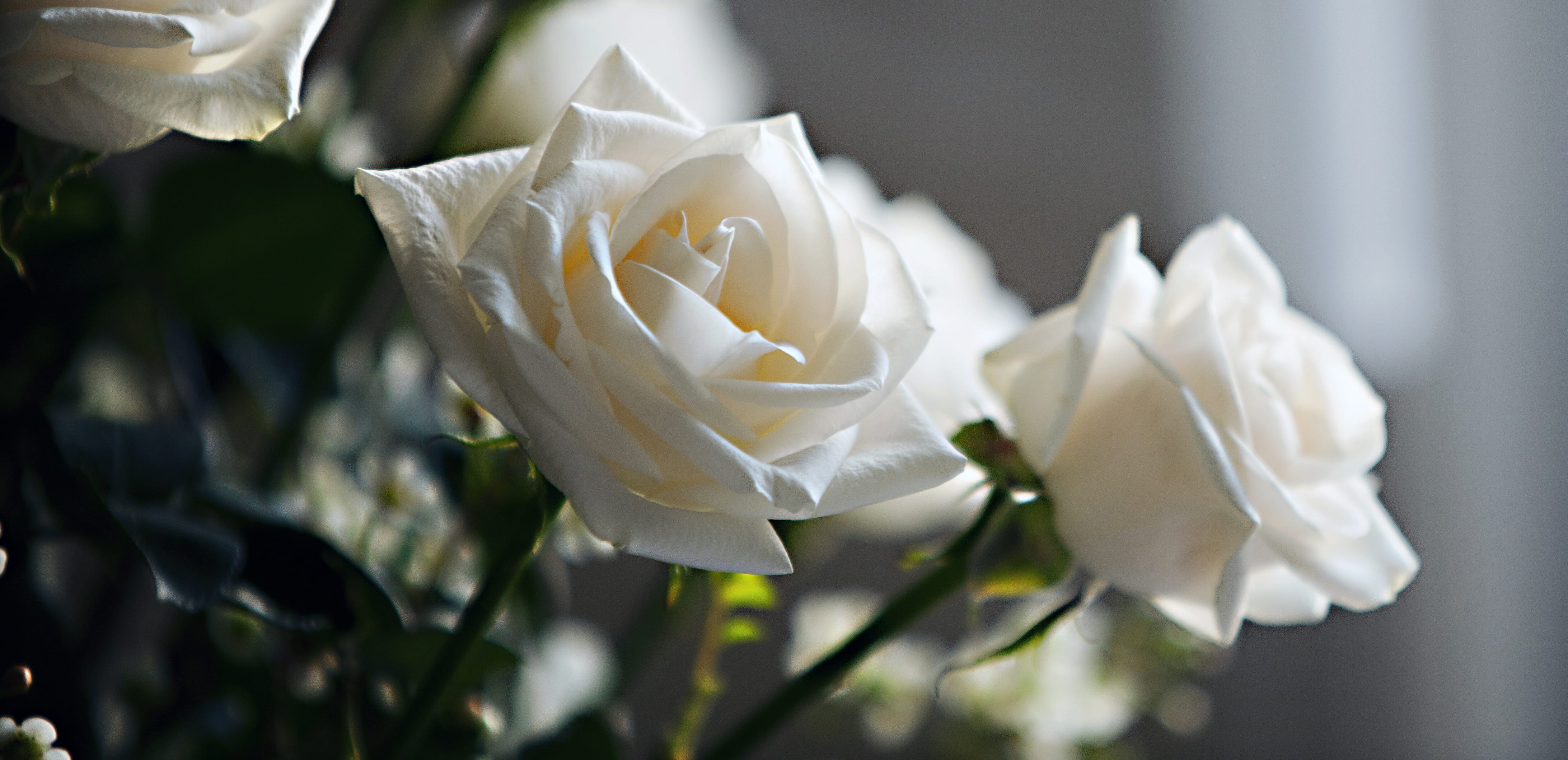 In meaningful memory: Donor advised funds as living legacies